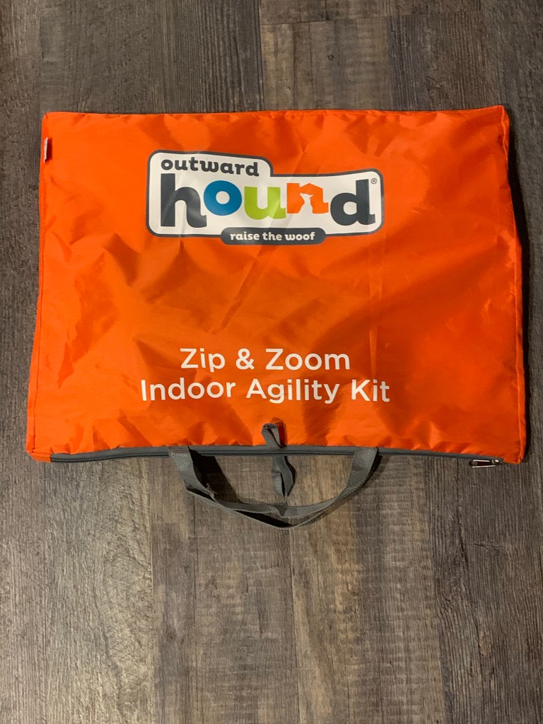 An indoor dog agility game- fun for your entire family! : Judy's Dog Report